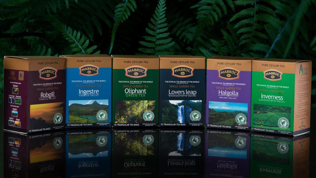 Pure Ceylon Tea | Mabroc Tea Collection | Premium Quality Tea